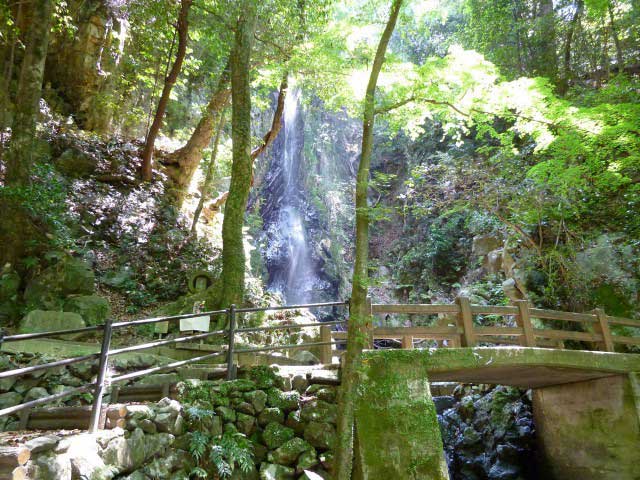 東林寺 ー 営業時間・場所・地図等の情報 | まっぷるウェブ