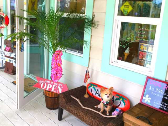 LAULEA ALOHA ILIO | まっぷるウェブ