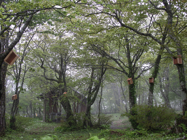 御所野遺跡 ー 営業時間・場所・地図等の情報 | まっぷるトラベルガイド