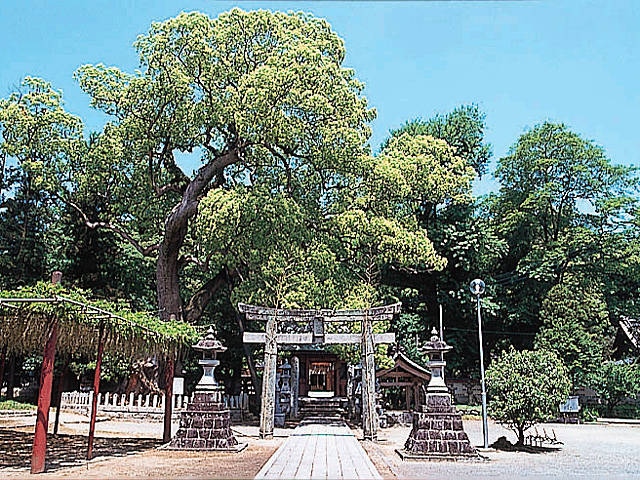 ひよ子 穂波工場(見学) | まっぷるウェブ