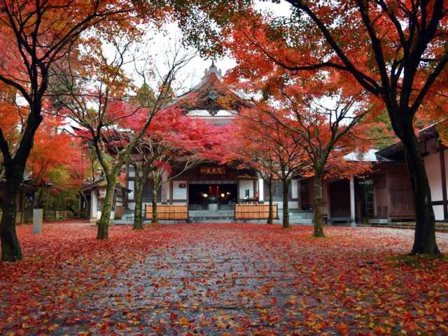 呑山観音寺 | まっぷるウェブ