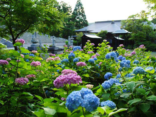 篠栗町観光ならここ!篠栗町でおすすめの人気観光・旅行スポット - 2025版 | まっぷるウェブ