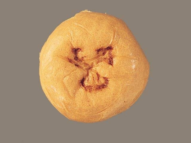 黒柳 | まっぷるウェブ